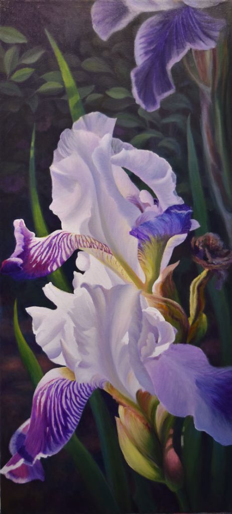 Blog - Judy Leila Schafers Fine Art
