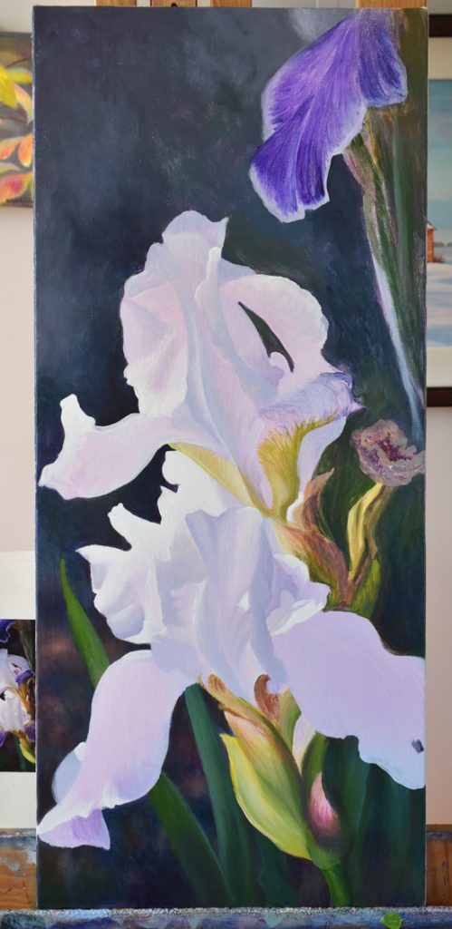 Blog - Judy Leila Schafers Fine Art